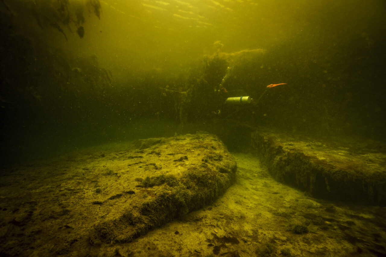 Manatee Habitat Discovered | Klaus Thymann